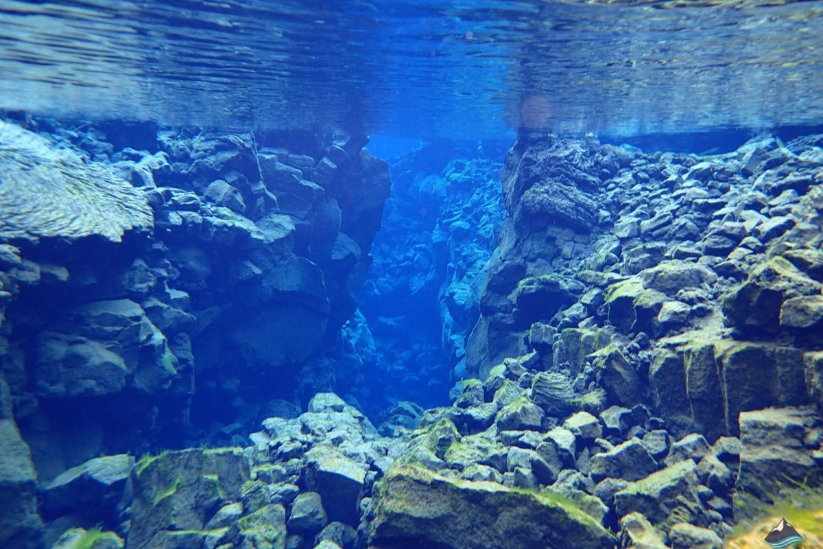 Silfra-Spalte | Schnorchel- und Tauchtouren in Island | Arctic Adventures