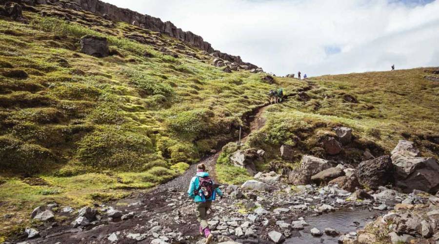 Laugavegur Trekking Trail | Hiking in Iceland | Arctic Adventures
