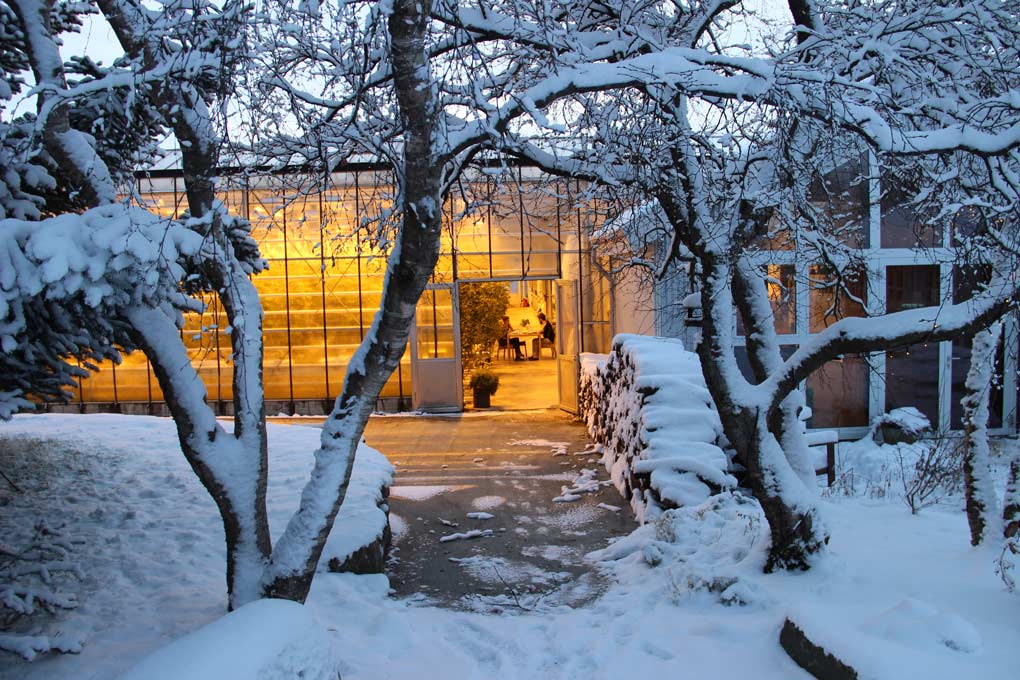 Fridheimar Tomato Farm | Attractions in Iceland | Arctic Adventures