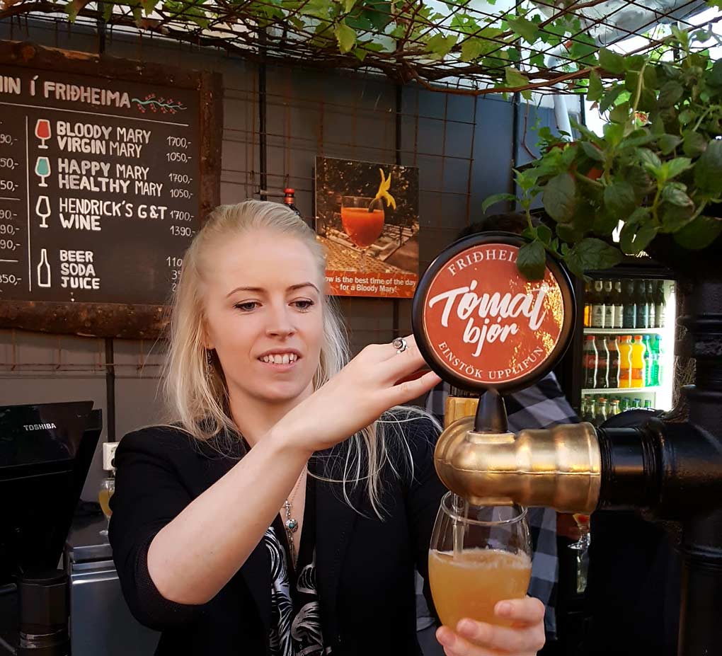 Fridheimar Tomato Farm | Attractions in Iceland | Arctic Adventures