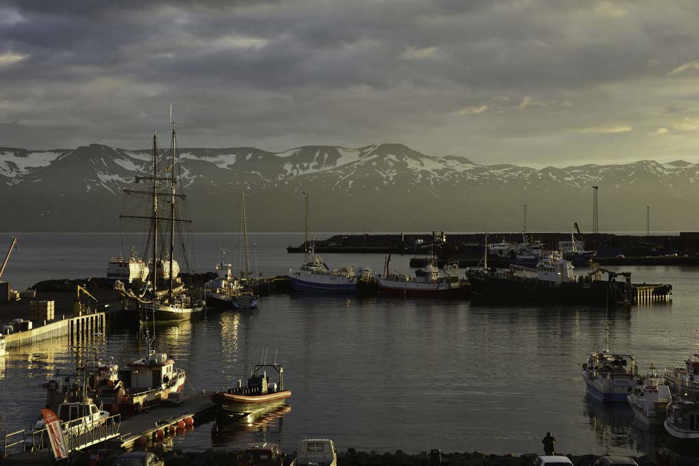 Husavik Town | Attractions in Iceland | Arctic Adventures