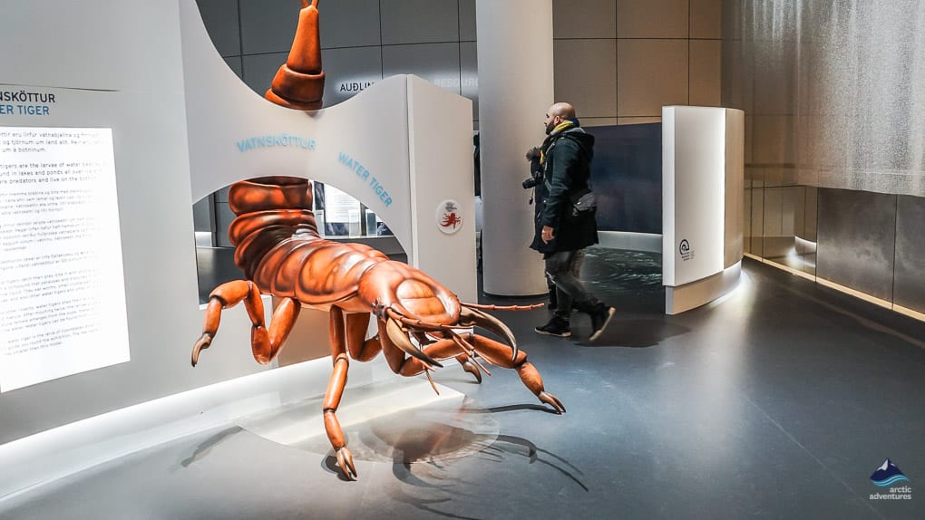 Perlan - the Wonders of Iceland | Attractions in Iceland | Arctic ...