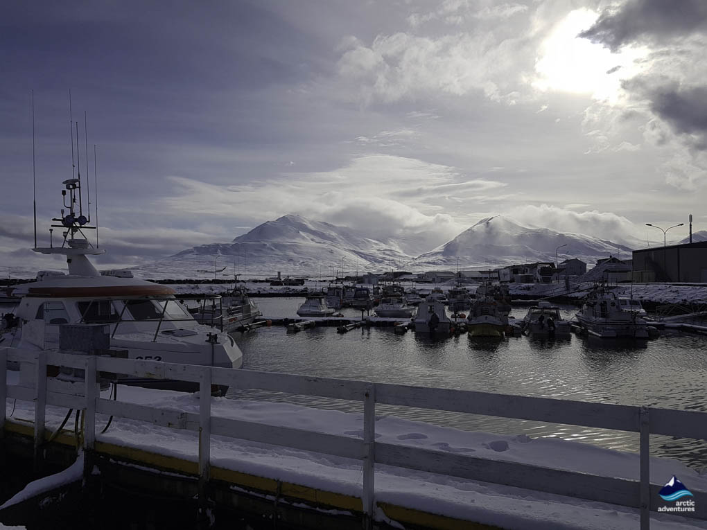 Dalvik in the North of Iceland | Arctic Adventures