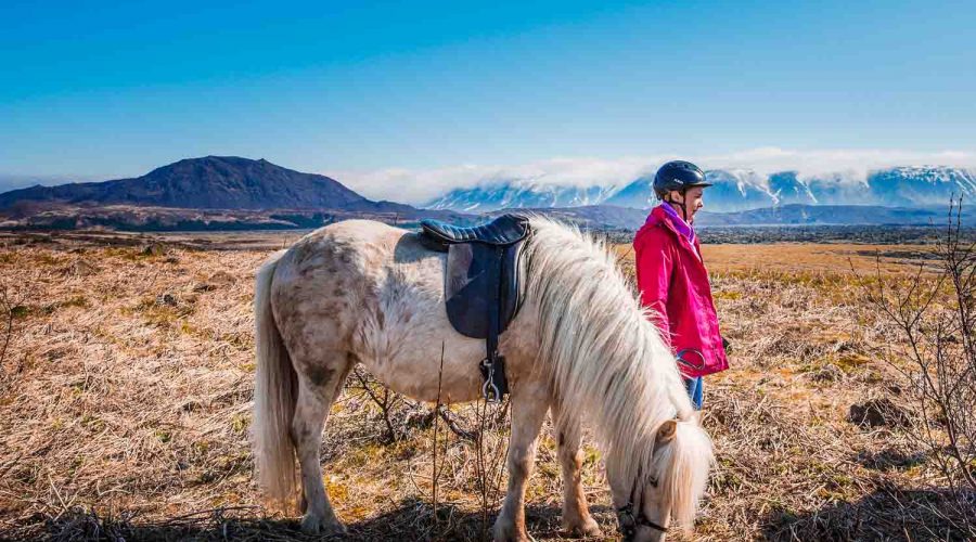 Horseback Riding Tours in Iceland | Arctic Adventures
