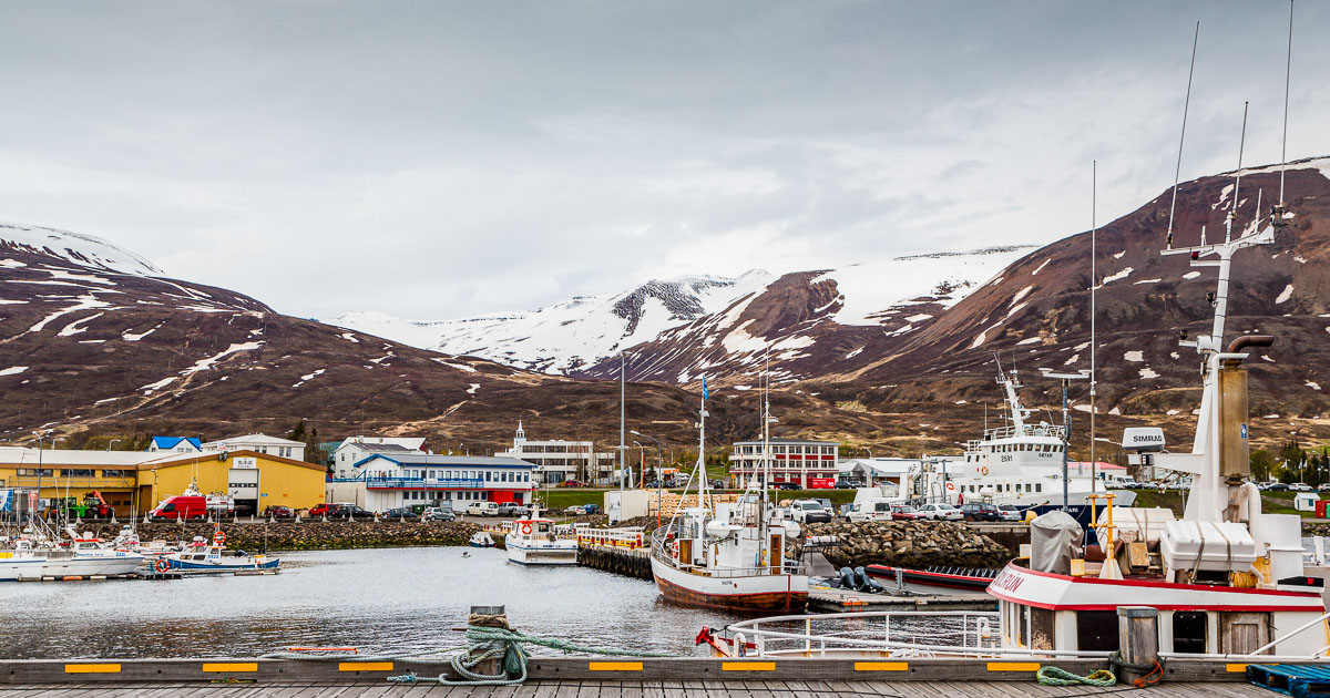 Dalvik in the North of Iceland | Arctic Adventures